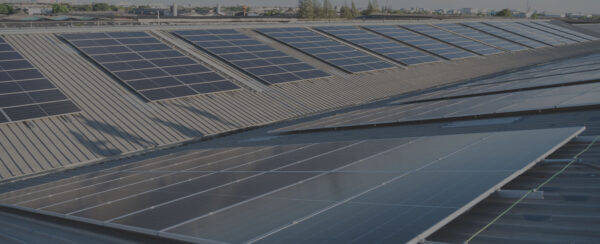 Home – EcoPower - EcoPower São Paulo